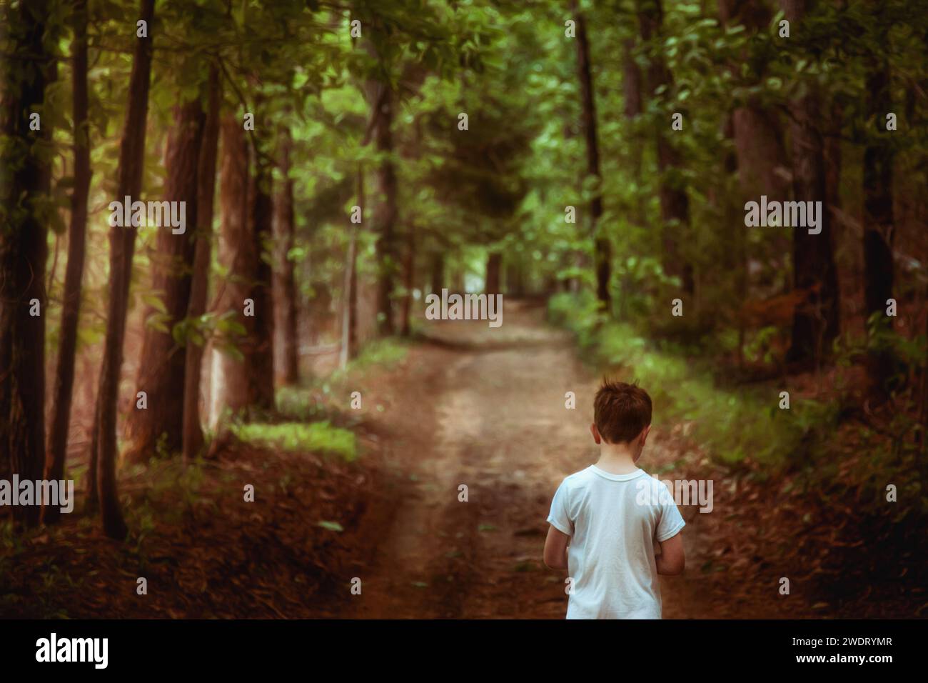 Boy walking along a wooded path with sunlight streaming in Stock Photo ...