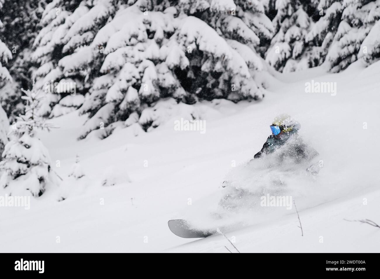 Snowboarder riding in deep snow and spraying powder Stock Photo - Alamy
