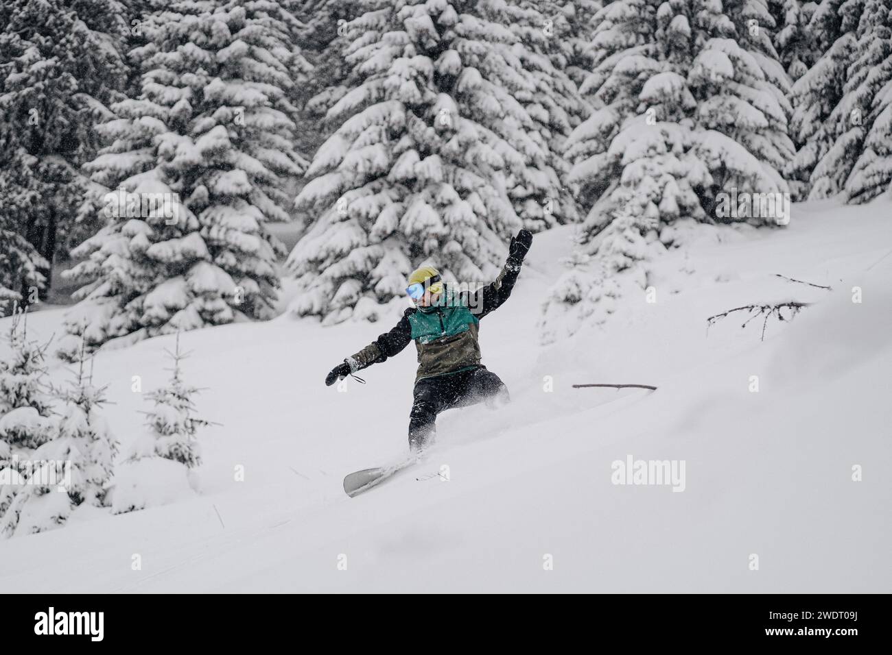 Snowboarder riding in deep snow and spraying powder Stock Photo - Alamy