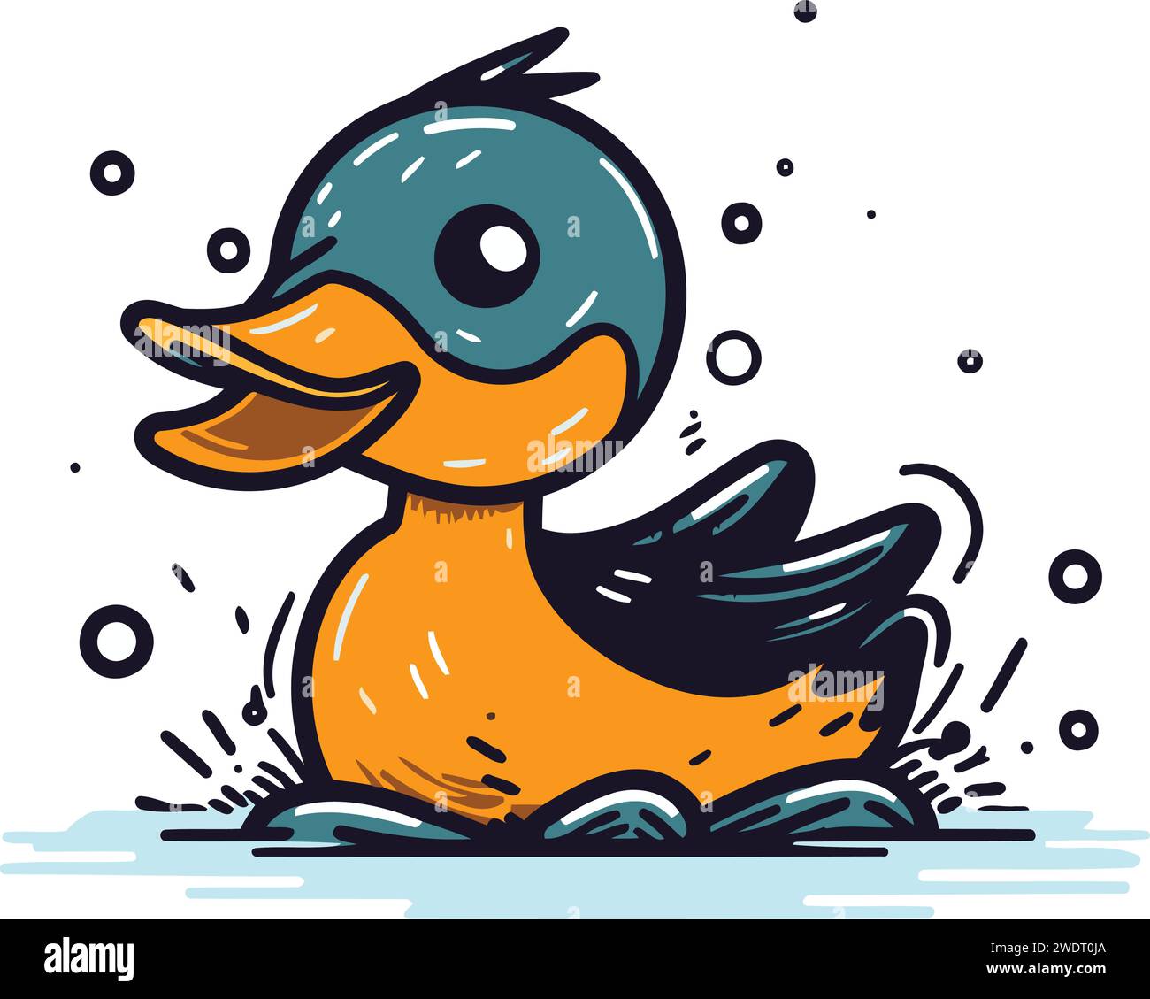 Mallard duck bird swimming Stock Vector Images - Alamy