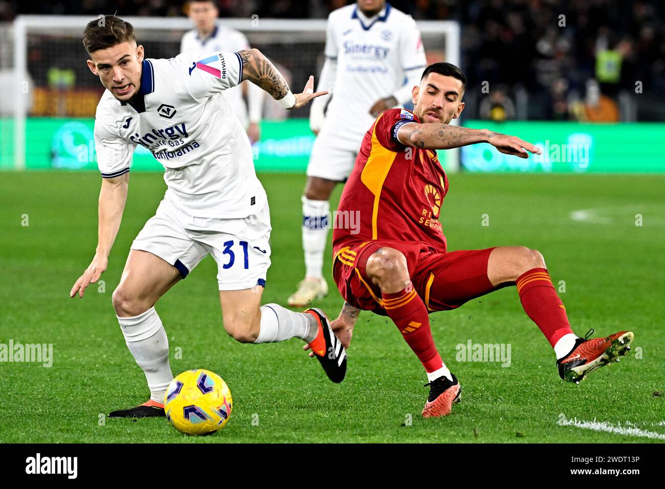 Suslov hi-res stock photography and images - Alamy