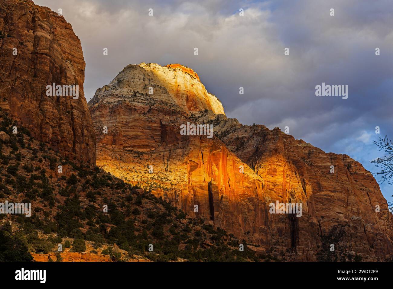 The setting sun spotlights the East Temple formation of Zion National ...