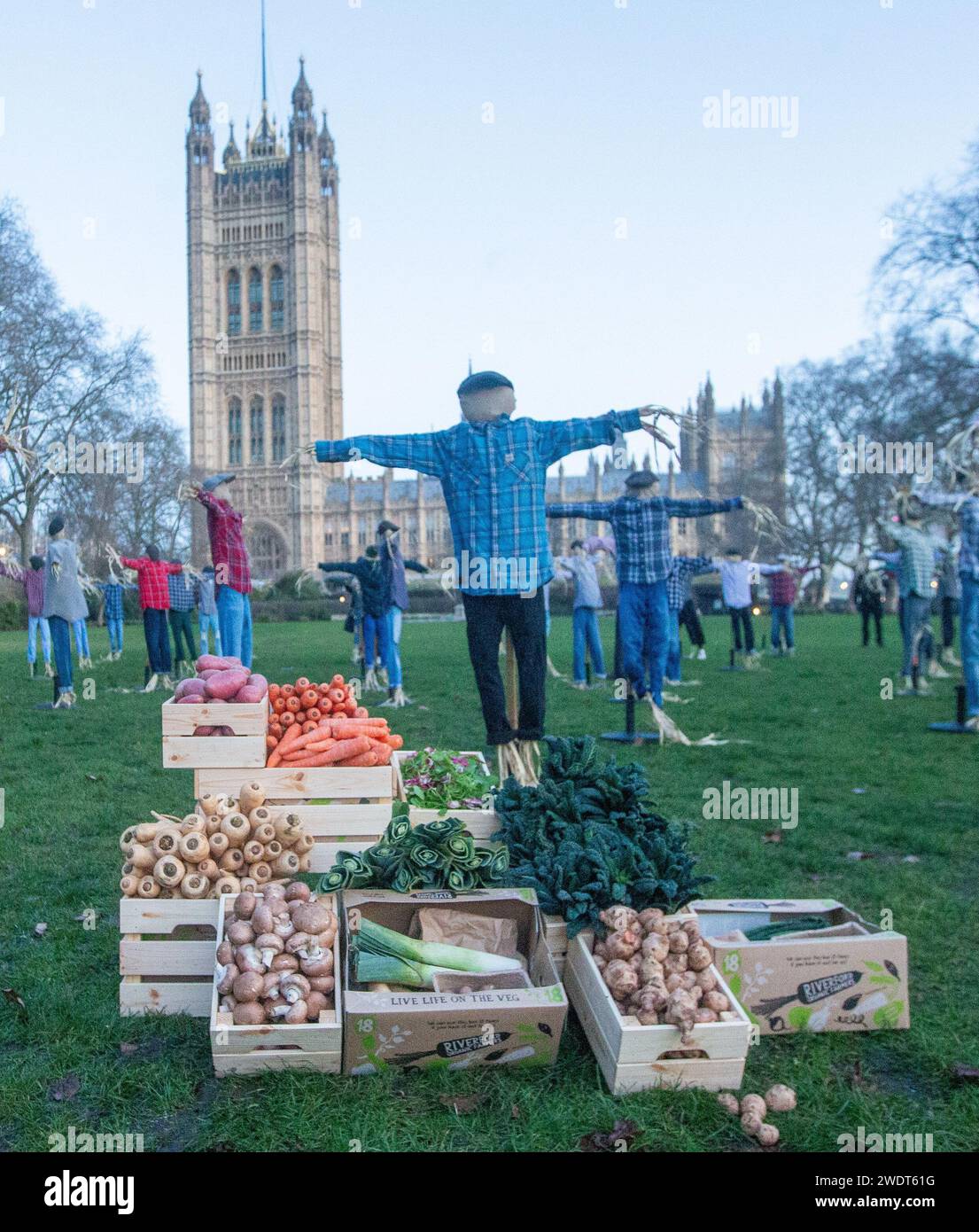 London, England, UK. 22nd Jan, 2024. Scarecrows standing outside ...