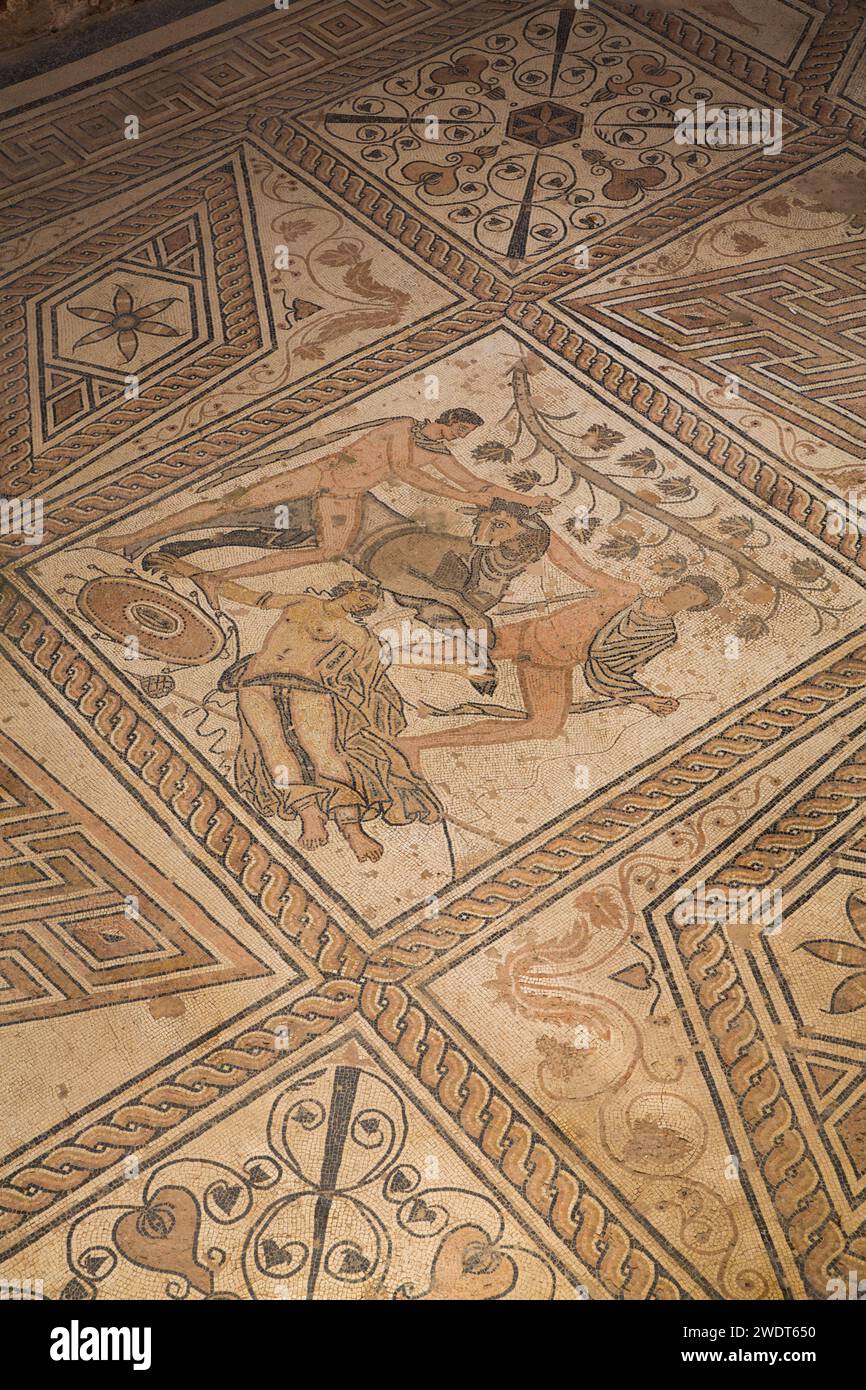 Roman Floor Mosaic, The Punishment of Dirce, Pula, Croatia, Europe ...