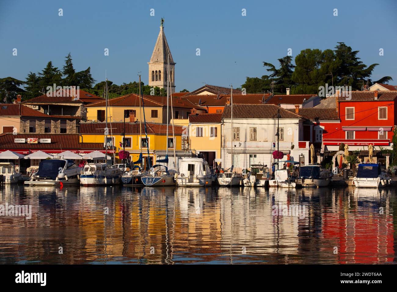 Pleasure Boats, Marina, Novigrad Port, Tower of St. Pelagius Church in ...