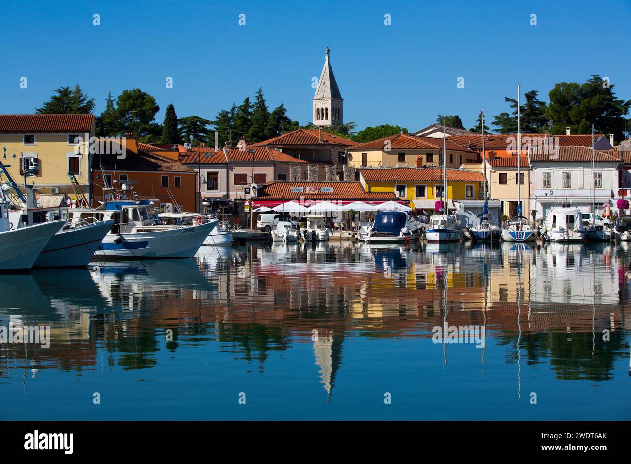 Boats, Marina, Novigrad Port, Tower of St. Pelagius Church in the ...