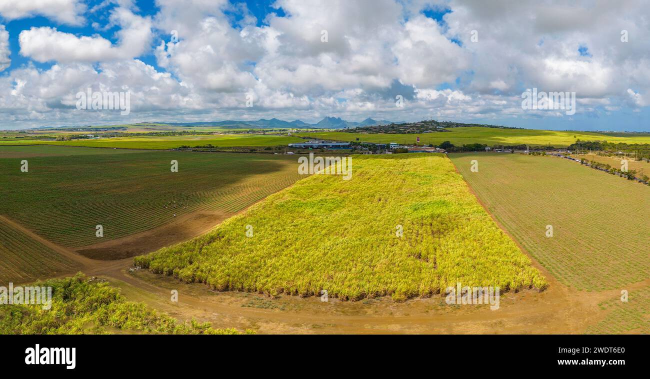 Aerial view of patchwork fields and mountains visible on horizon near ...