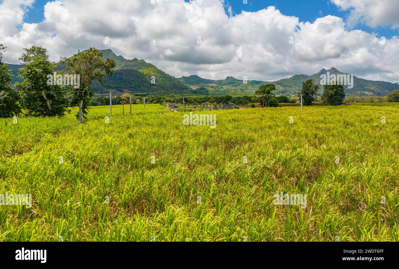 Aerial view of Long Mountain and fields at Long Mountain, Mauritius, Indian Ocean, Africa Stock ...
