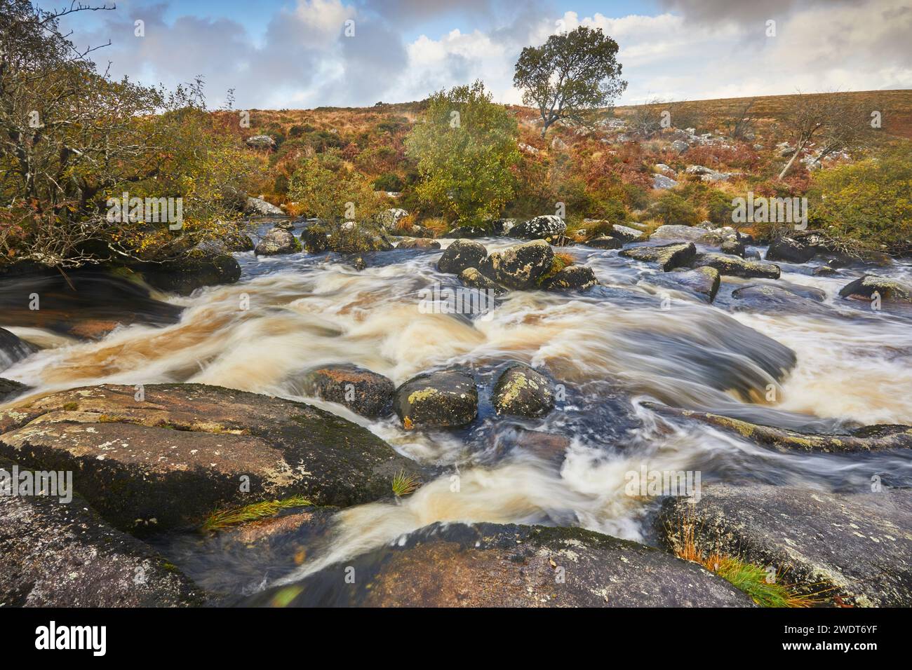 The upper River Teign in autumn, flowing across Gidleigh Common, near ...