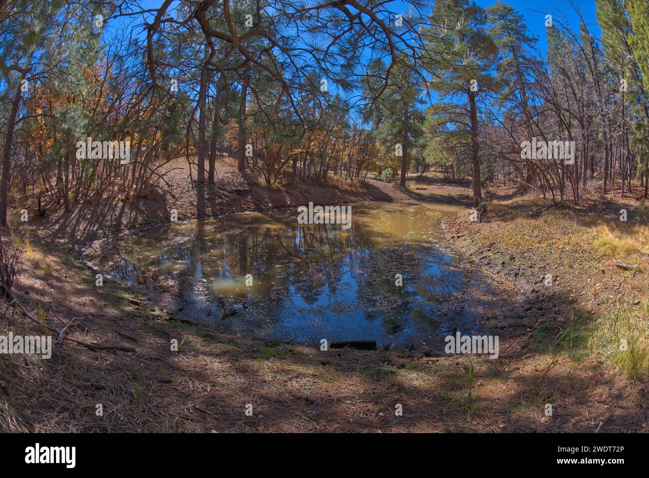 Two of three ponds called the Hearst Tanks, on Grand Canyon South Rim ...