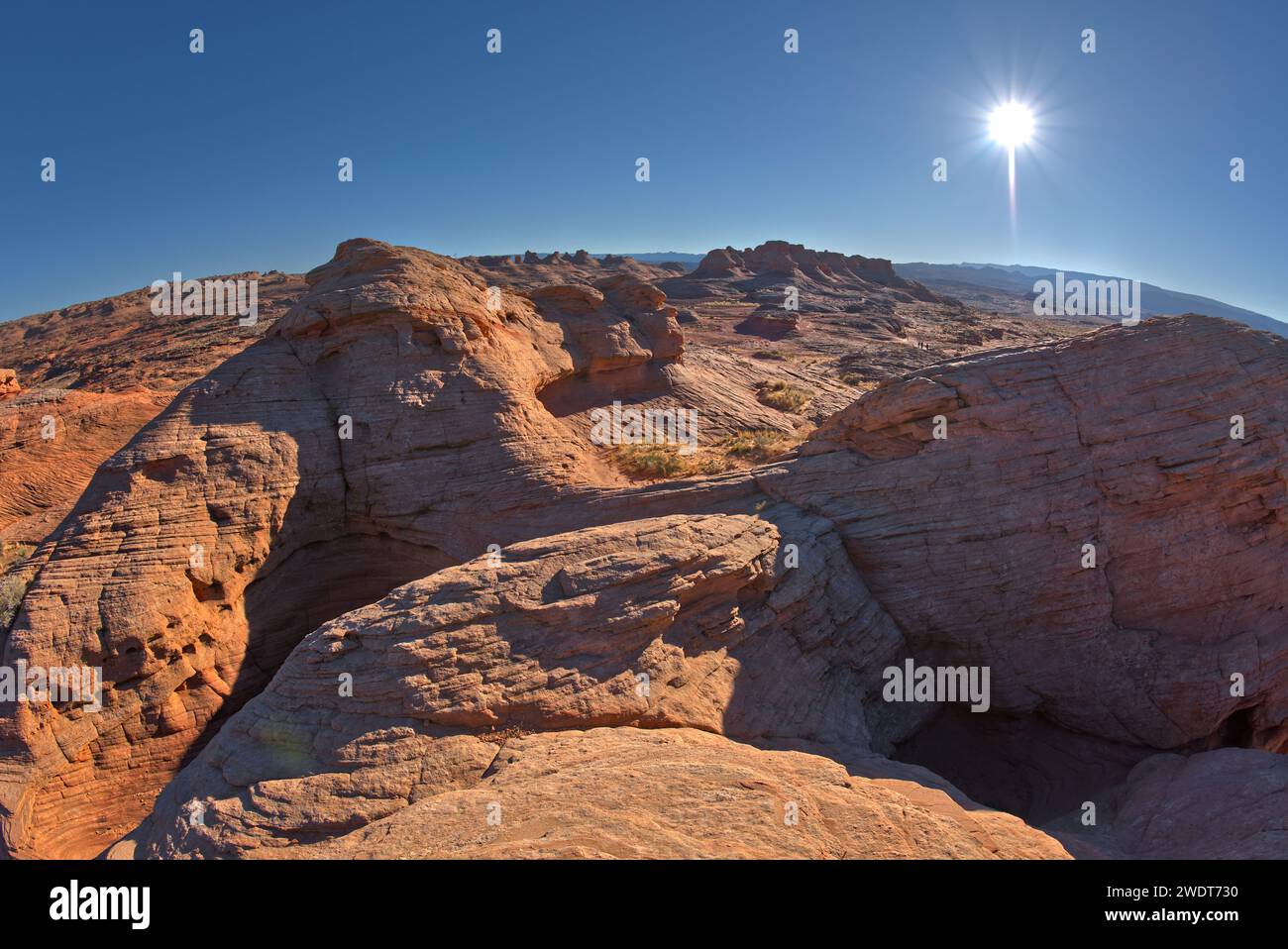 The shiva nandi rock along hi-res stock photography and images - Alamy