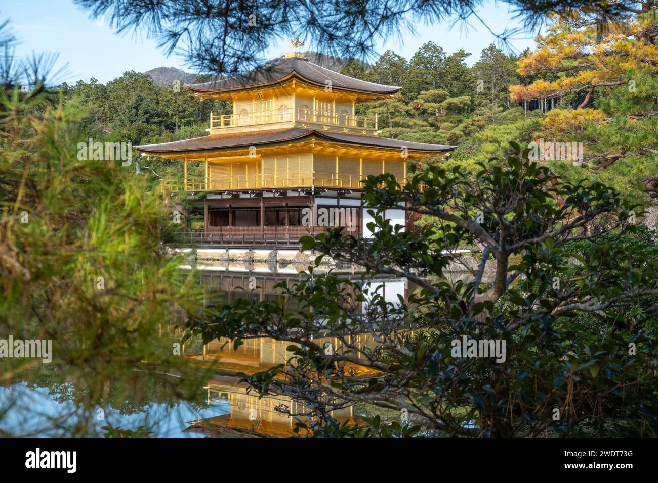 Kinkaku-ji temple of the Golden Pavilion, framed by the trees, UNESCO ...