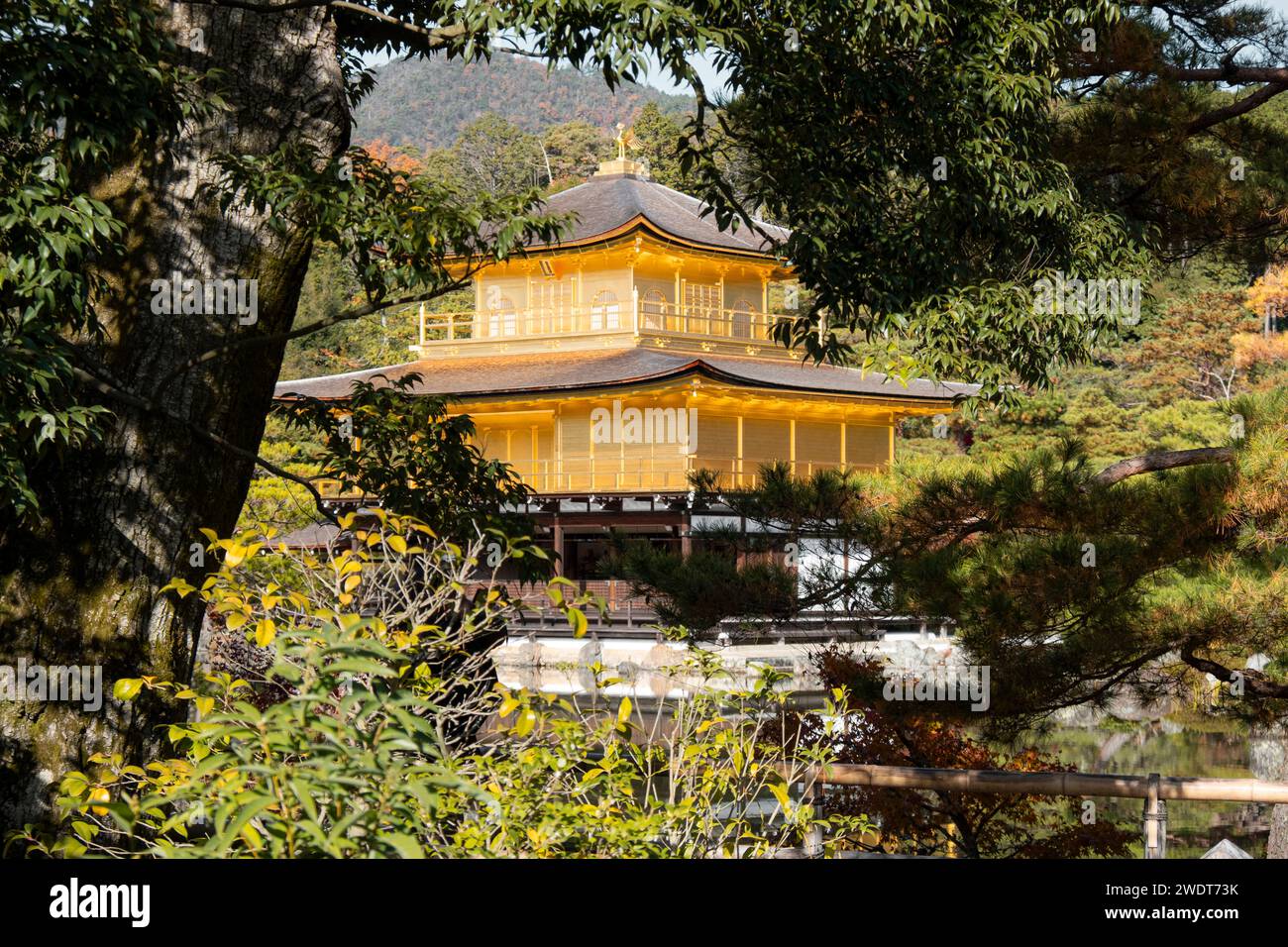 Kinkaku-ji temple of the Golden Pavilion, framed by the trees, UNESCO ...