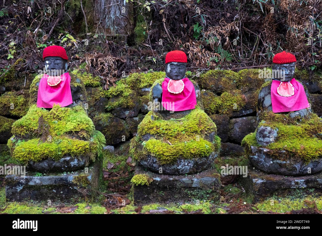 Narabi Jizo Buddha statues with red hat covered with Moss in Nikko ...