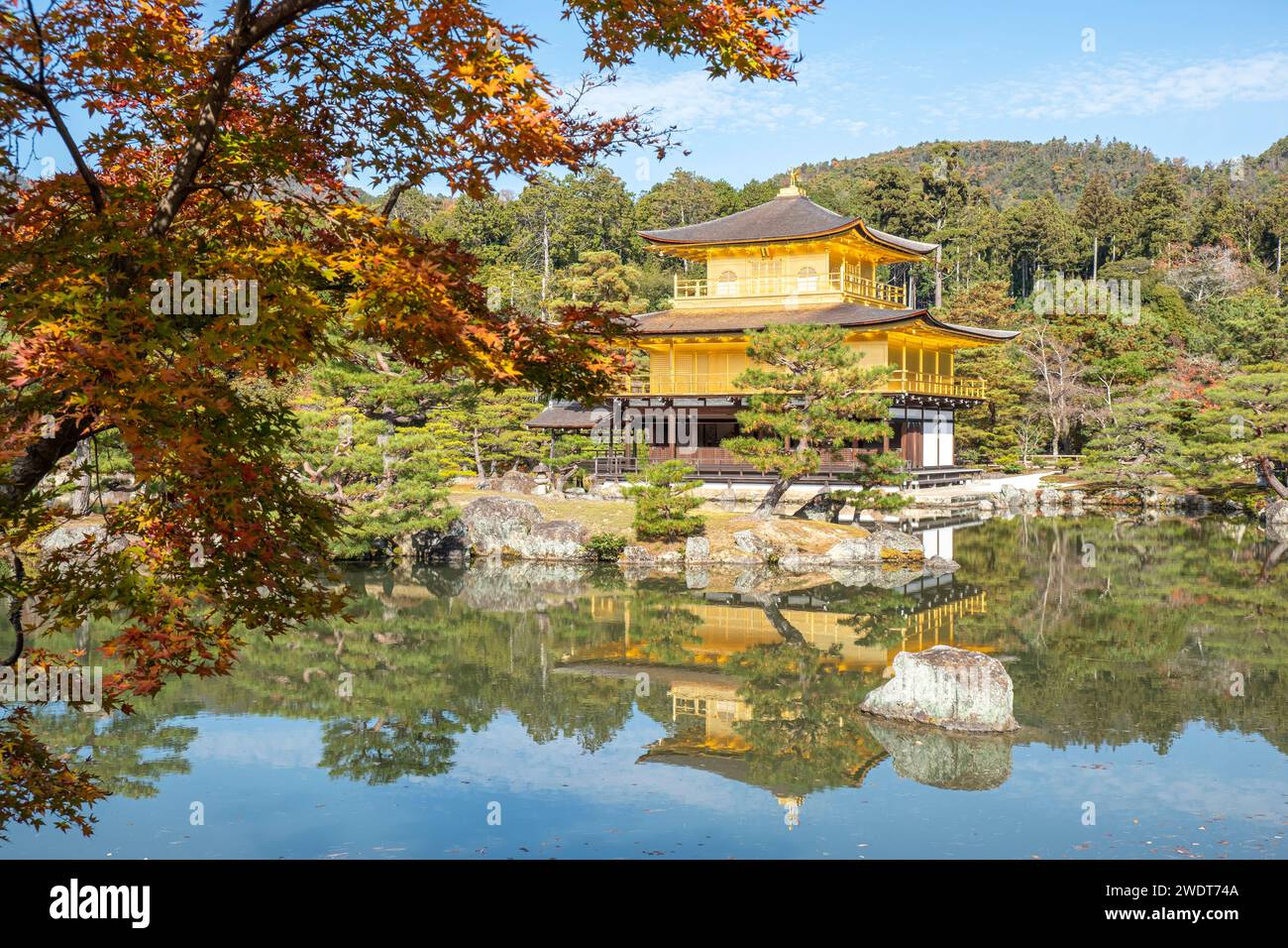 Kinkaku-ji Golden Pavilion Temple reflected in a pond in autumn, UNESCO ...