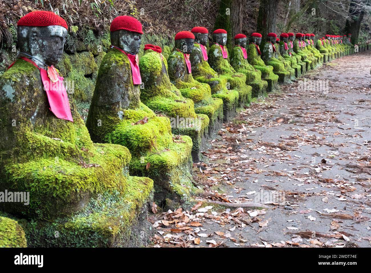 Narabi Jizo Buddha statues with red hat covered with Moss in Nikko ...