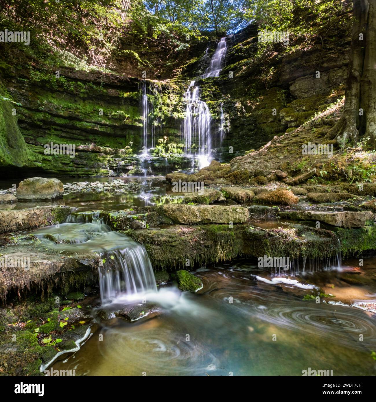 Scaleber Force Waterfall, near Settle, Yorkshire Dales National Park ...