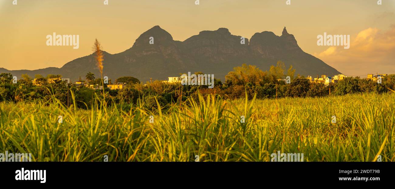 View of farmland and mountains near Quatre Bornes, Mauritius, Indian ...