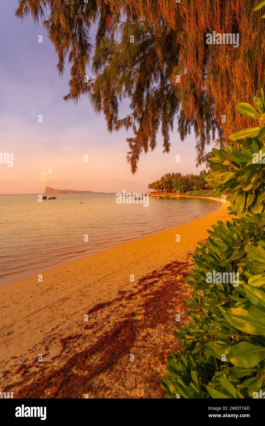 View of beach and Indian Ocean at sunset in Cap Malheureux, Mauritius ...
