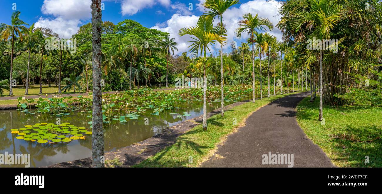 View of Sir Seewoosagur Ramgoolam Botanical Garden, Mauritius, Indian ...