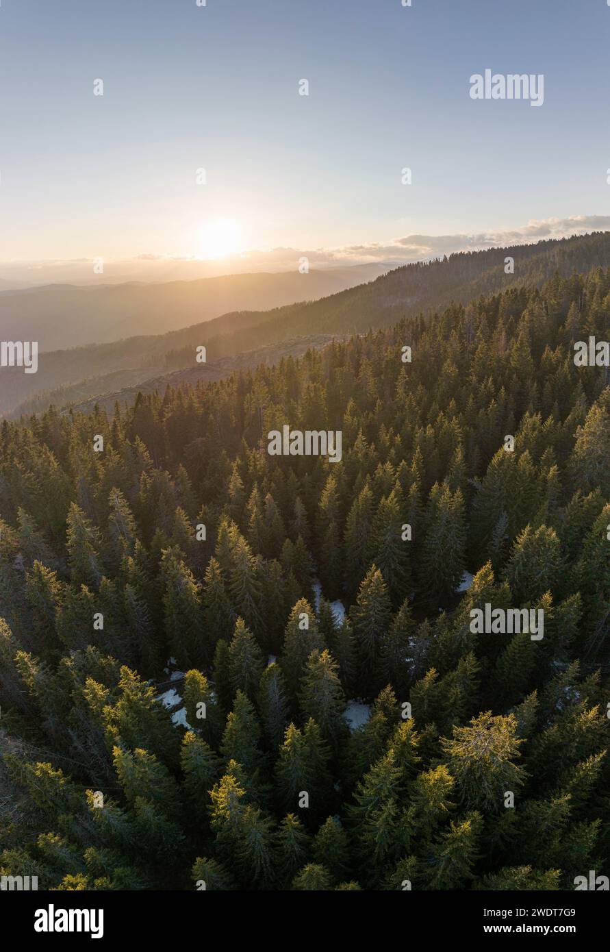 Aerial of forest landscape near Nucsoara, Arges County, Muntenia ...