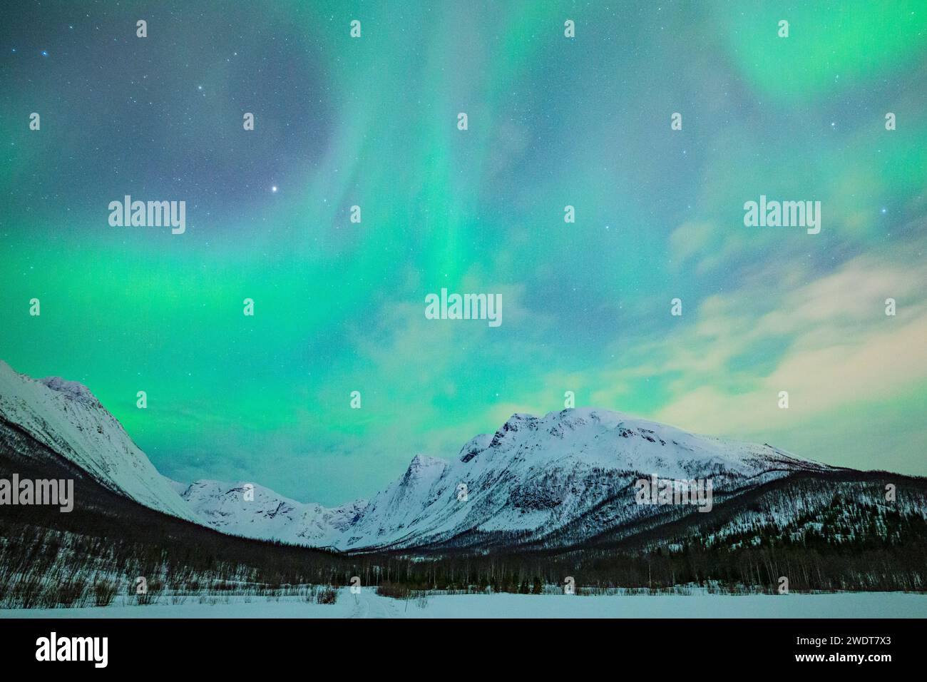 The Northern Lights (Aurora Borealis) light up the sky in the winter ...