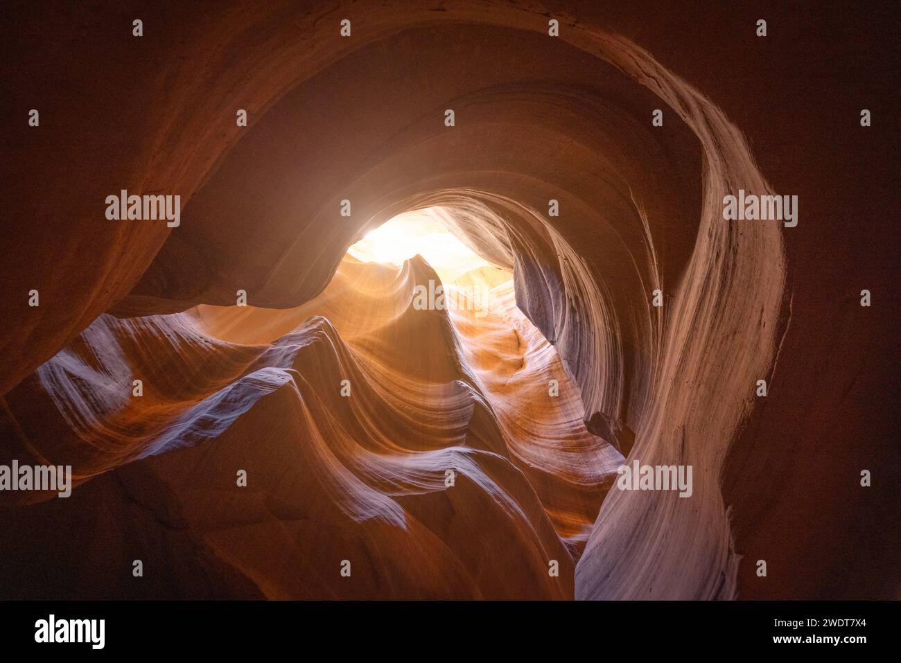 Sunny arizona hi-res stock photography and images - Alamy