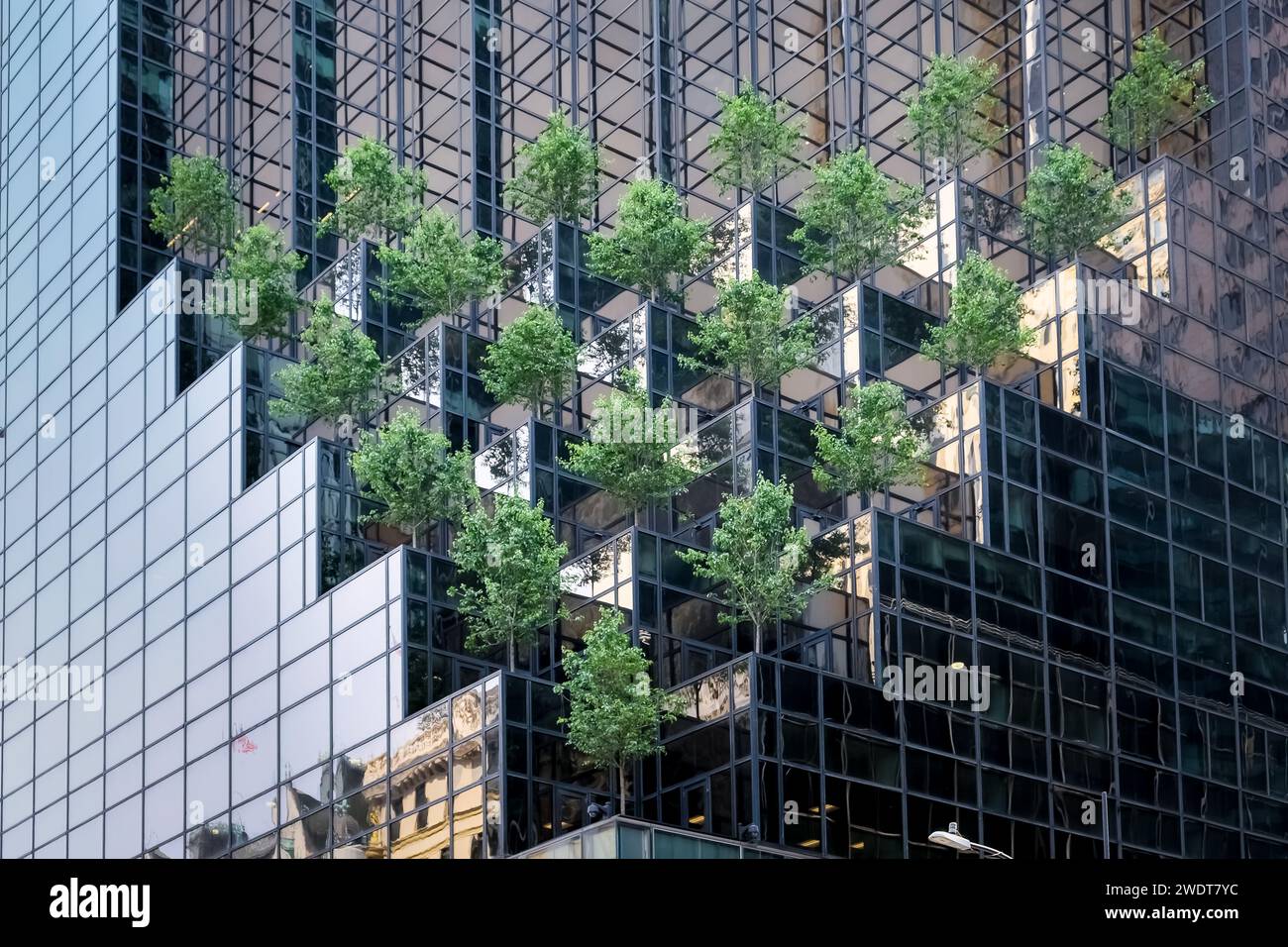 Prominent thoroughfare hi-res stock photography and images - Alamy