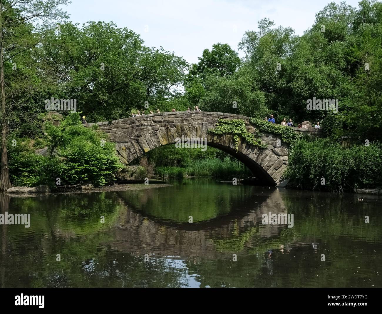 View of The Pond, one of seven bodies of water in Central Park located ...