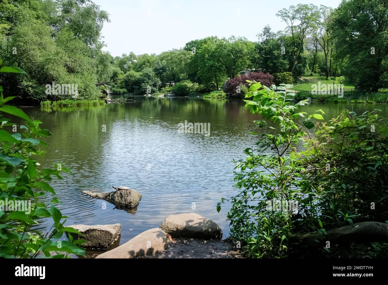 View of The Pond, one of seven bodies of water in Central Park located ...