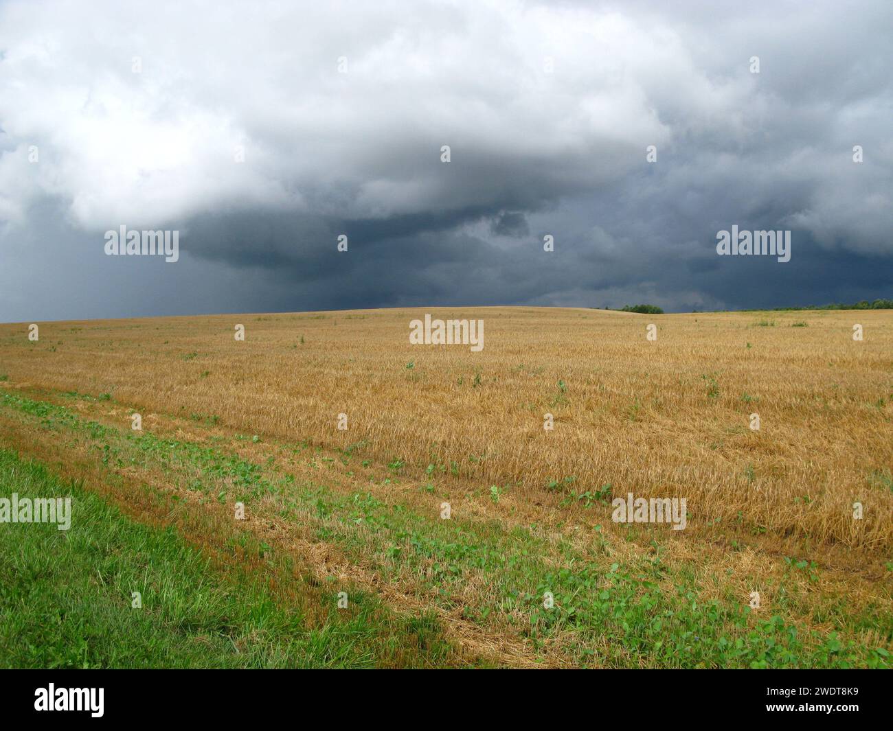 Fields and forests in Lithuania Stock Photo - Alamy