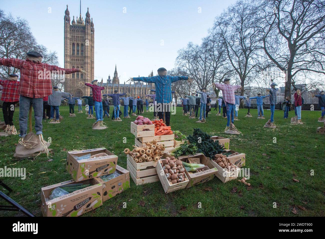 London, England, UK. 22nd Jan, 2024. Scarecrows standing outside ...