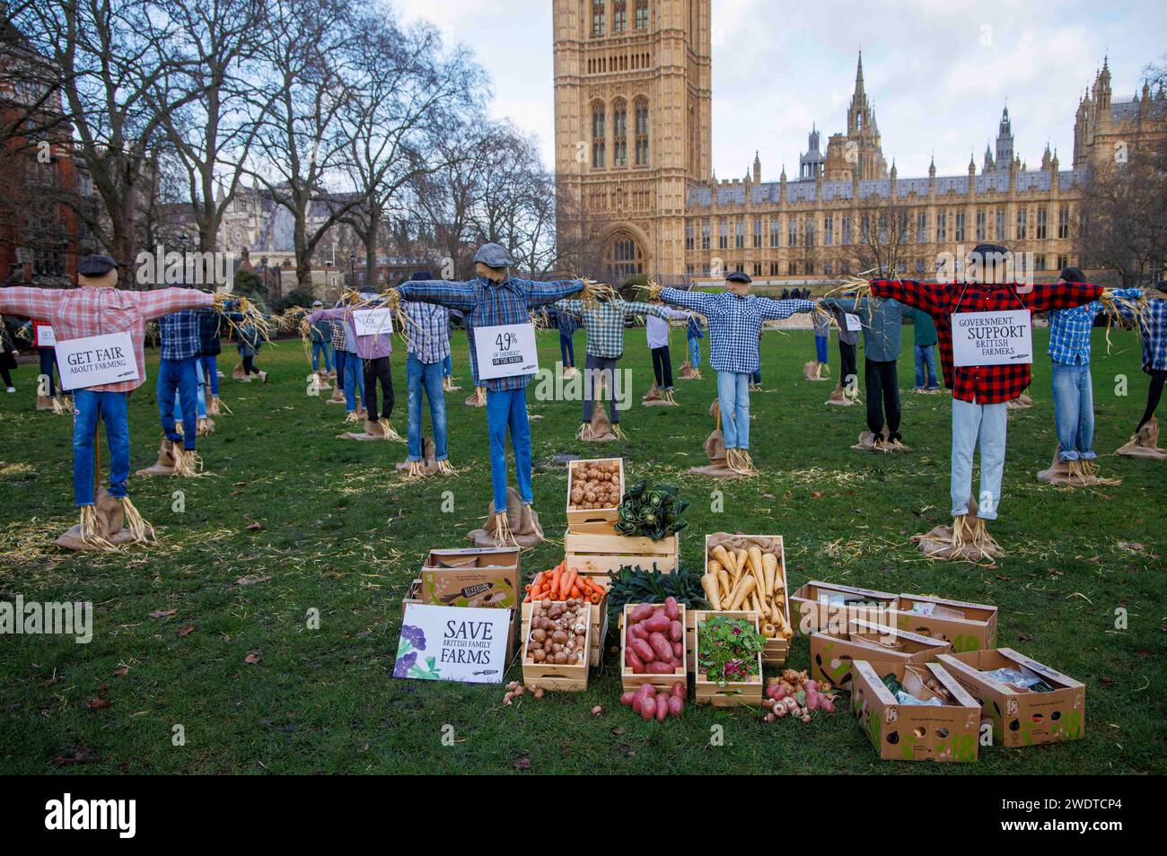 London, UK 22 Jan 2024 Dozens of scarecrows are ‘protesting' outside ...
