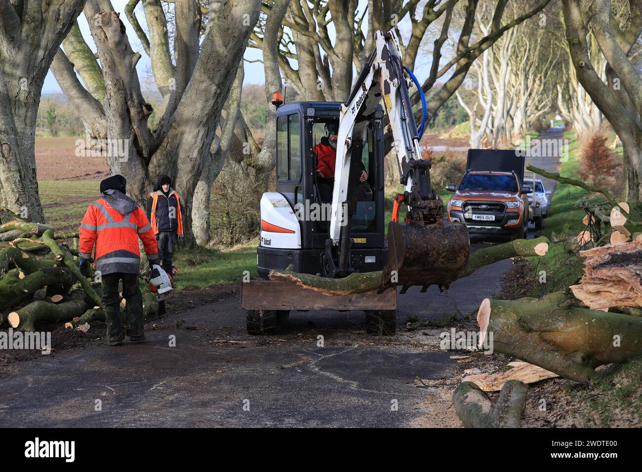 Workmen continue their clear up as a number of trees in Northern ...