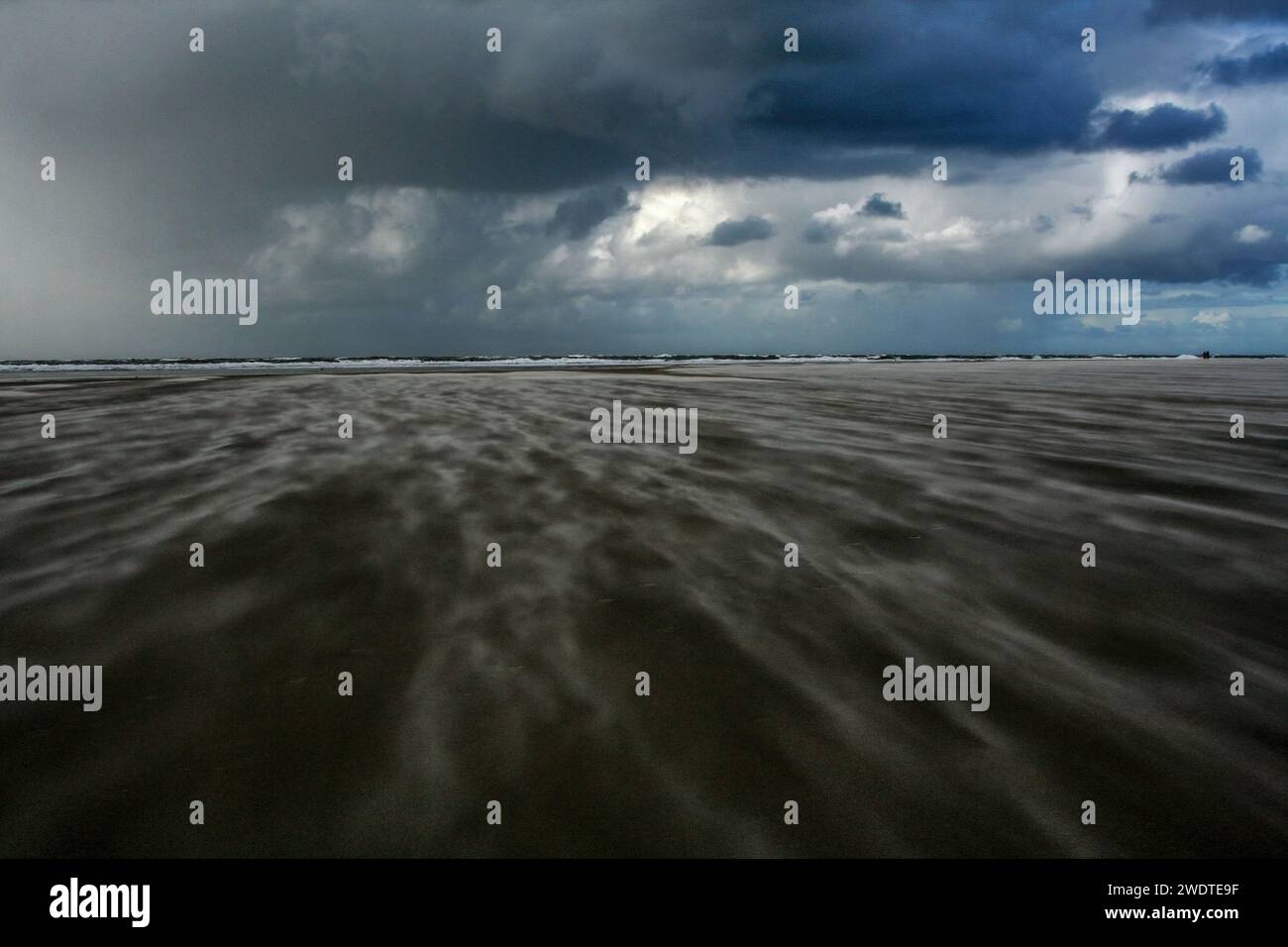 Wind on the Beach Stock Photo - Alamy