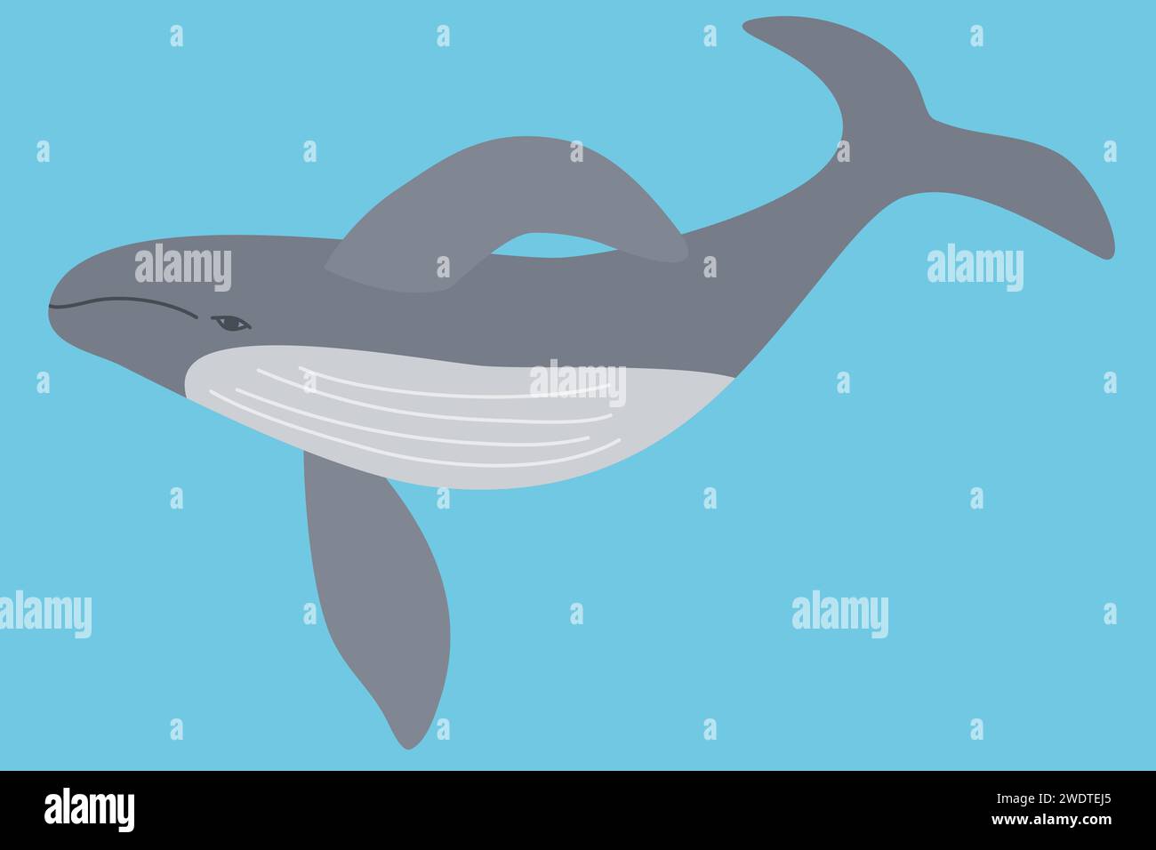 Whale swimming underwater, World Whale Day banner or card, ecology ...
