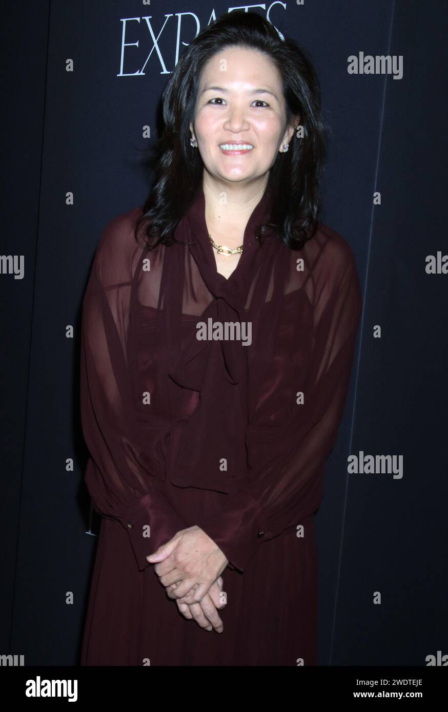 New York, NY, USA. 21st Jan, 2024. Janice Y. K. Lee at the New York ...