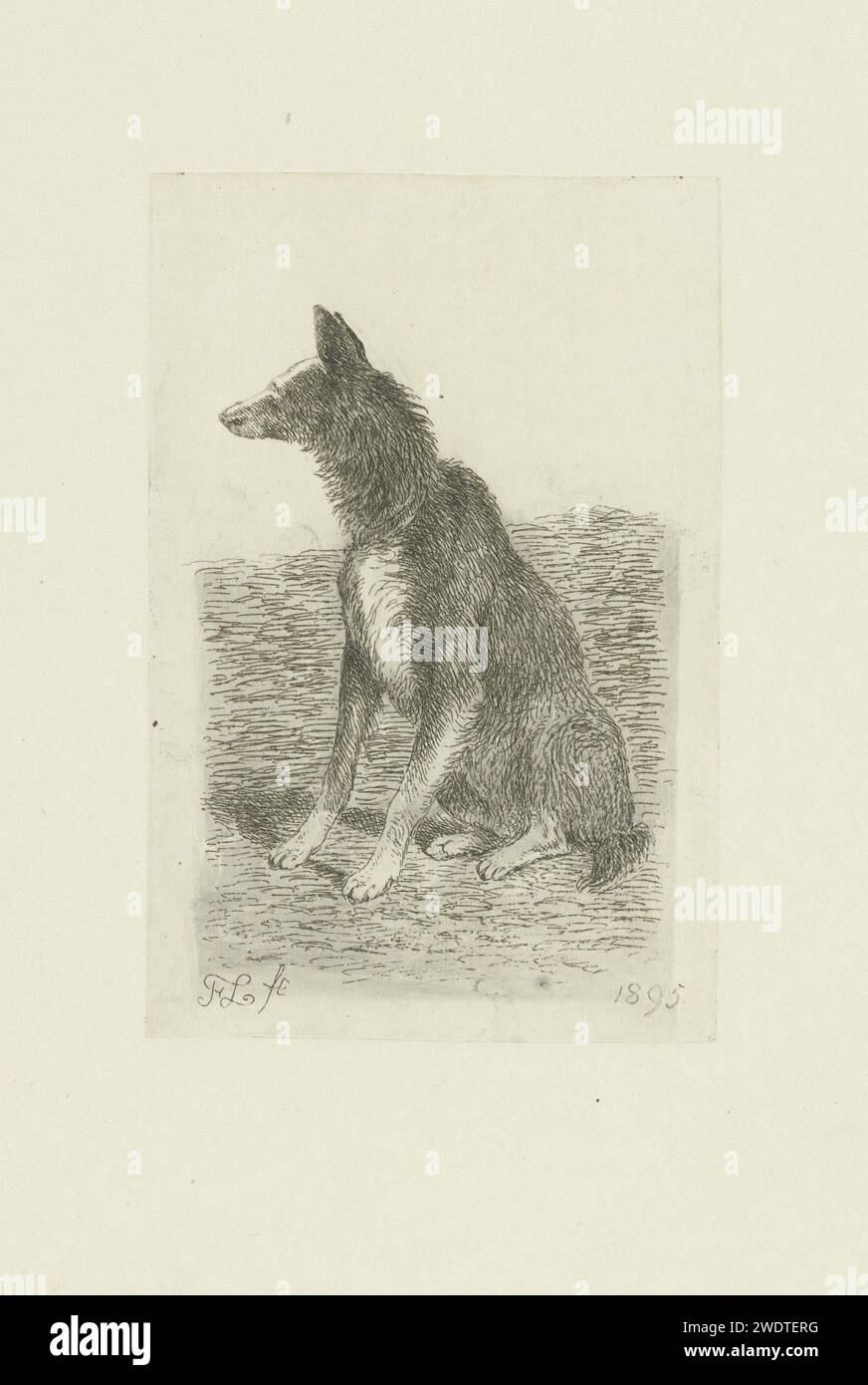 Seated dog with head to the right, Frans Lebret, 1895 print A sitting ...