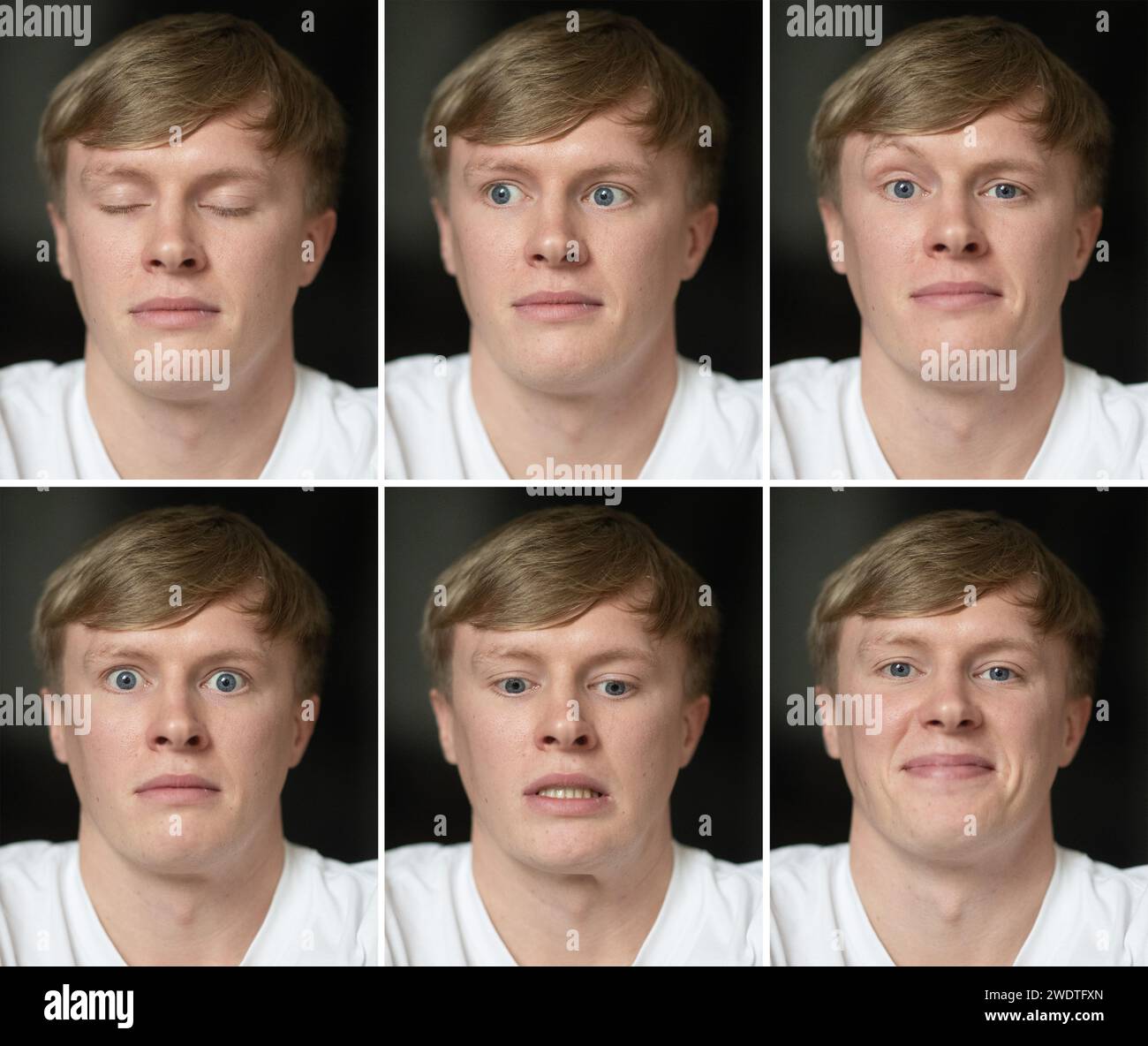 22 January 2024, Baden-Württemberg, Crailsheim: KOMBO - The image combo ...