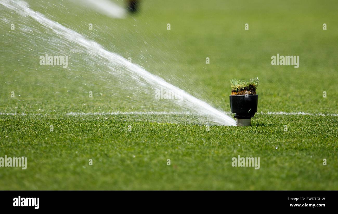 Watering the lawn water grass football field. High quality photo Stock ...