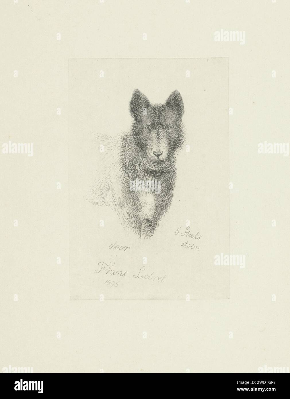 Dog from the front, Frans Lebret, 1895 print Seen a dog from the front ...