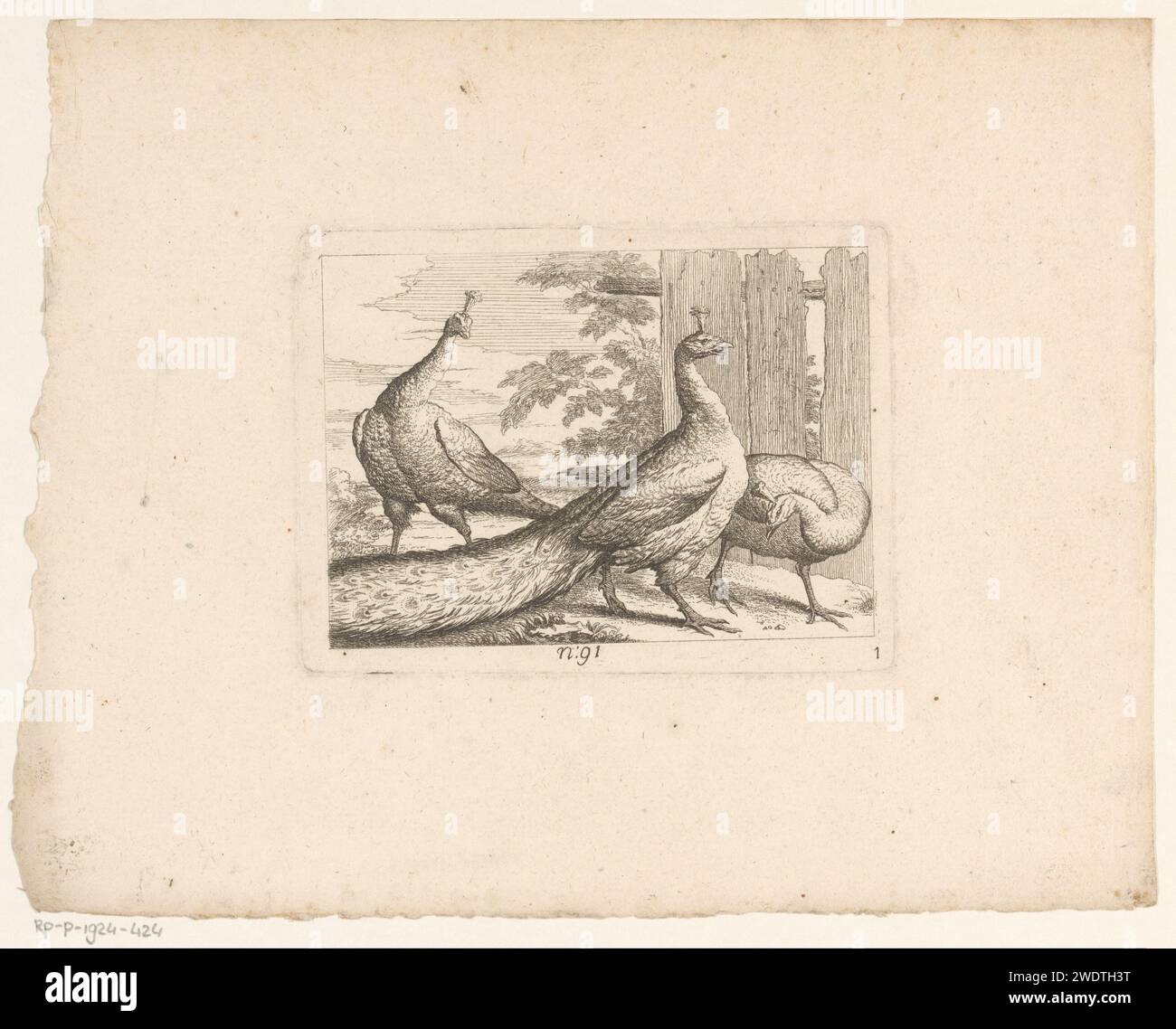 Landscape with three peacocks, Johann Georg Hertel (I) (Possibly), 1705 ...
