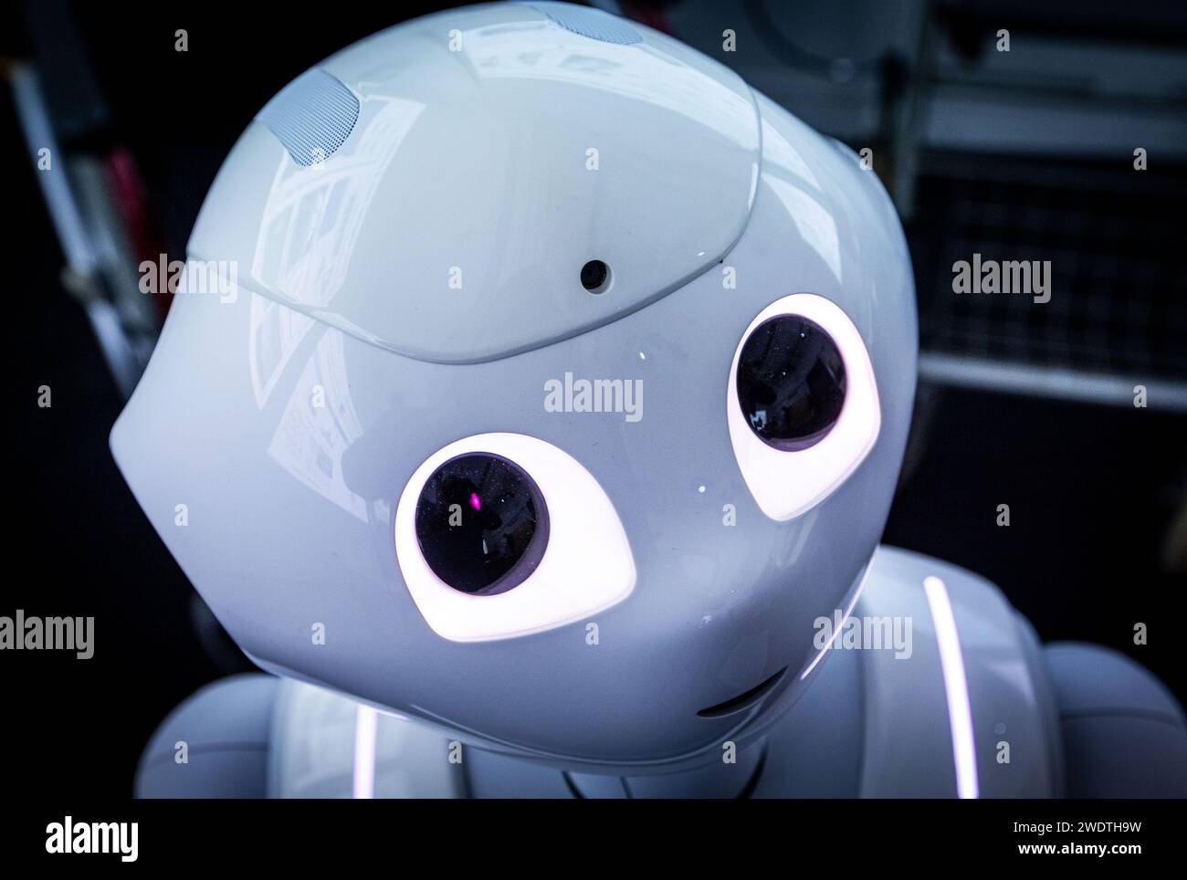 Rostock, Germany. 22nd Jan, 2024. The Pepper robot from Aldebaran ...