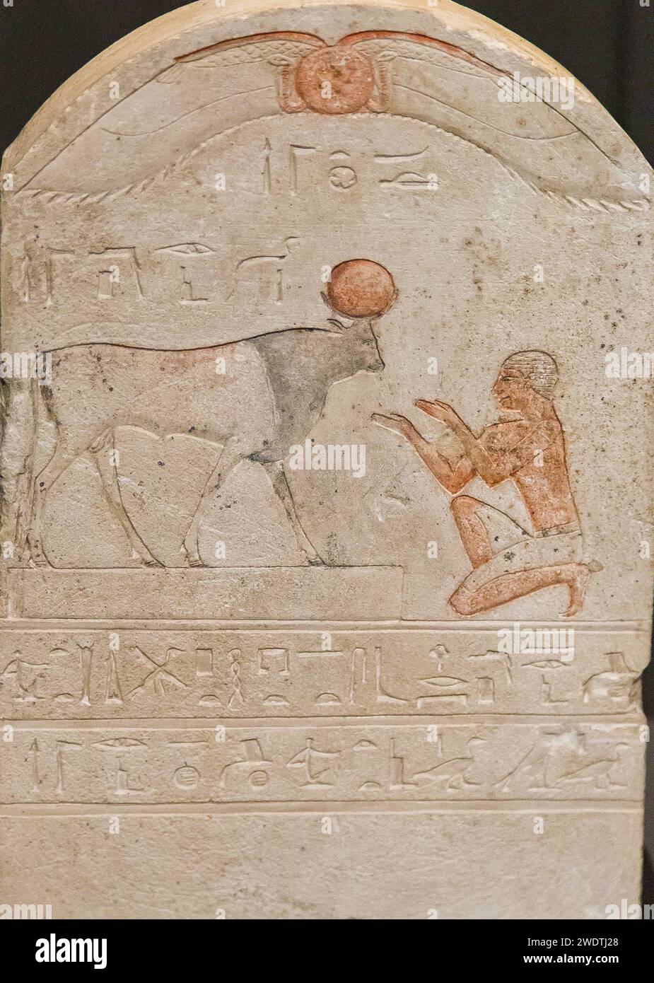 Egypt, Saqqara, Serapeum, Apis bull stele of Padibastet Stock Photo - Alamy