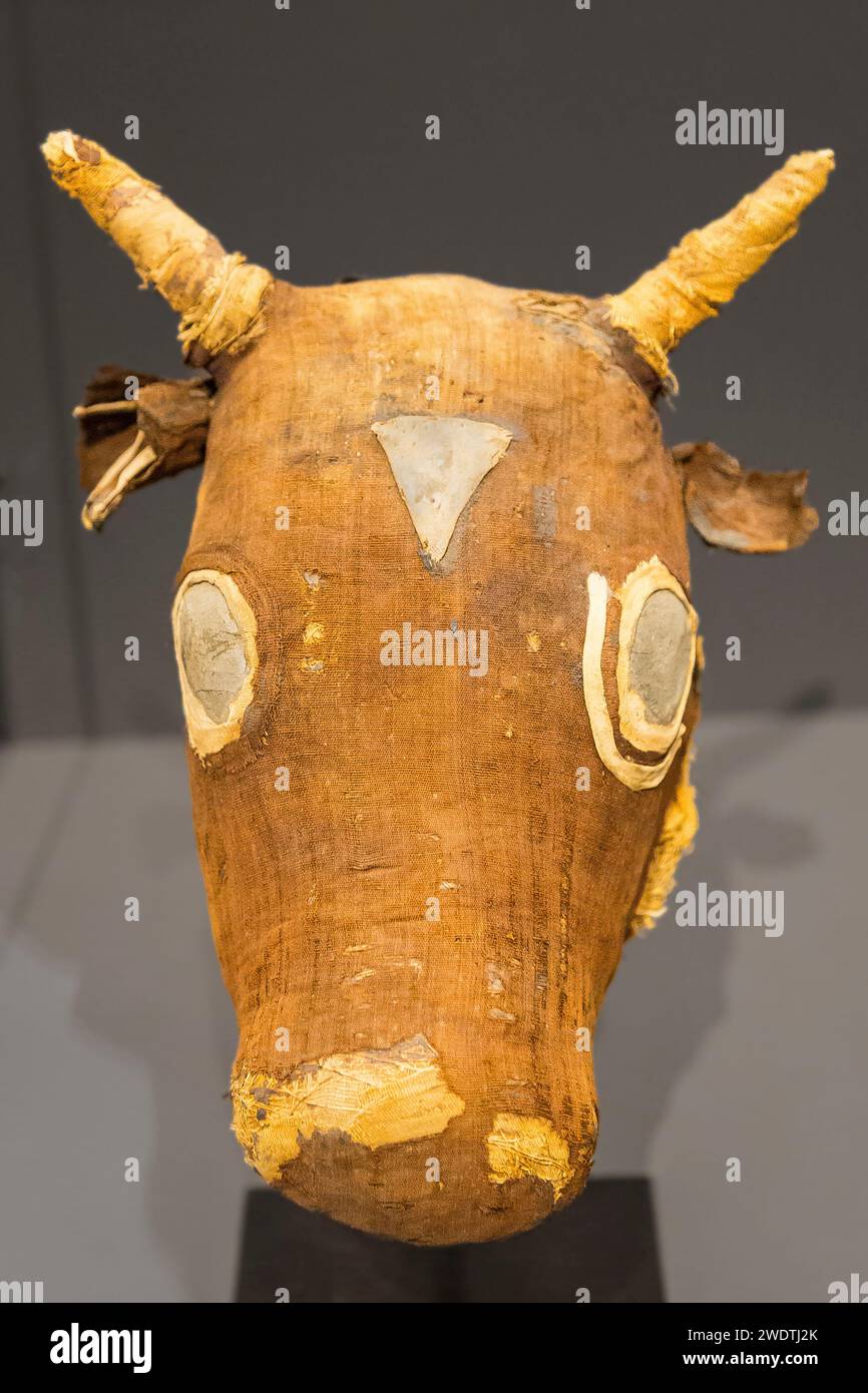 Apis bull ancient egypt hi-res stock photography and images - Alamy