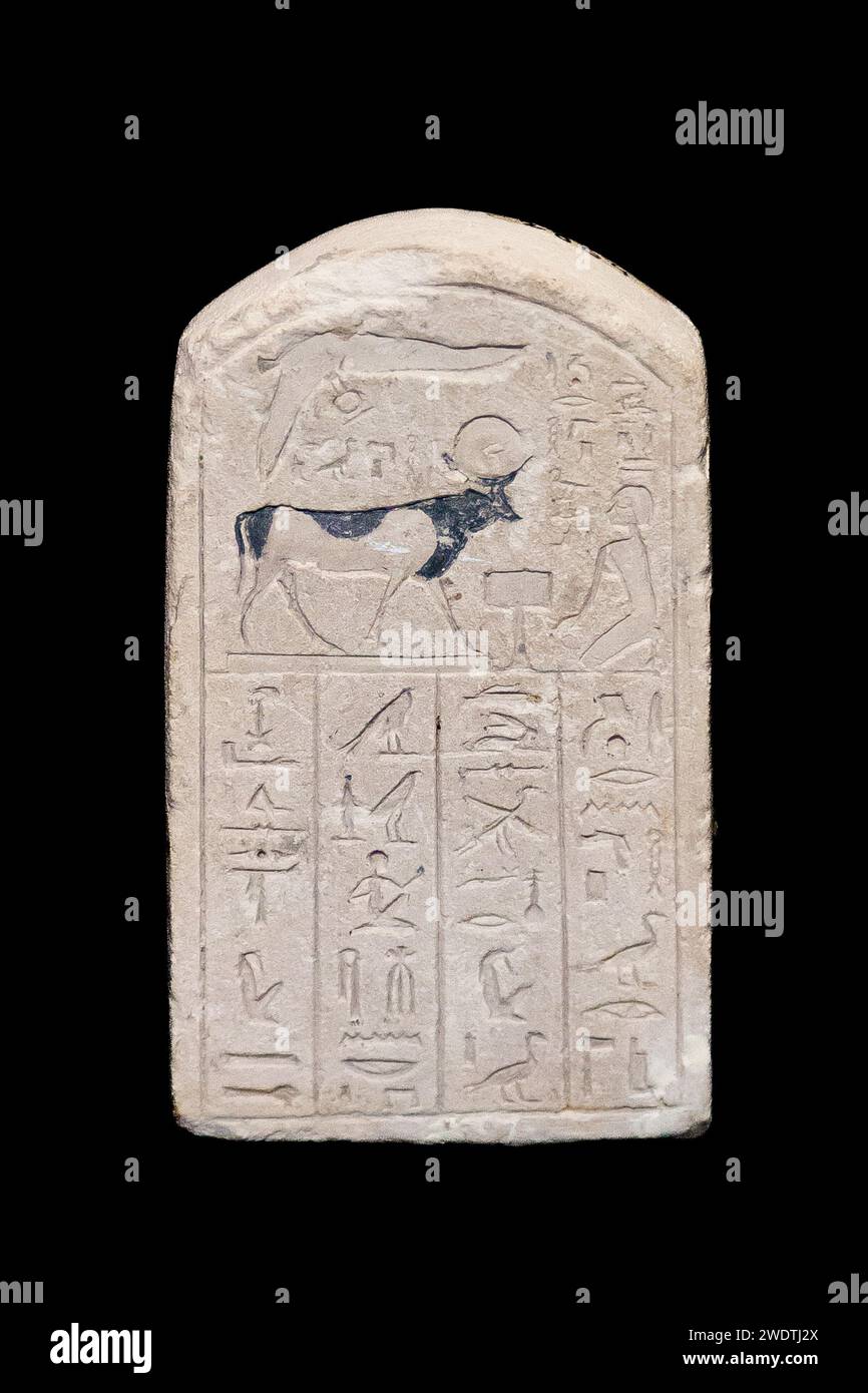 Egypt, Saqqara, Serapeum, Apis bull stele dating of the Ahmosis II ...