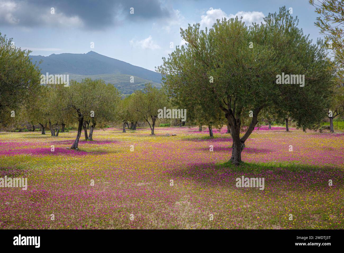 Photonetmagazine hi-res stock photography and images - Alamy