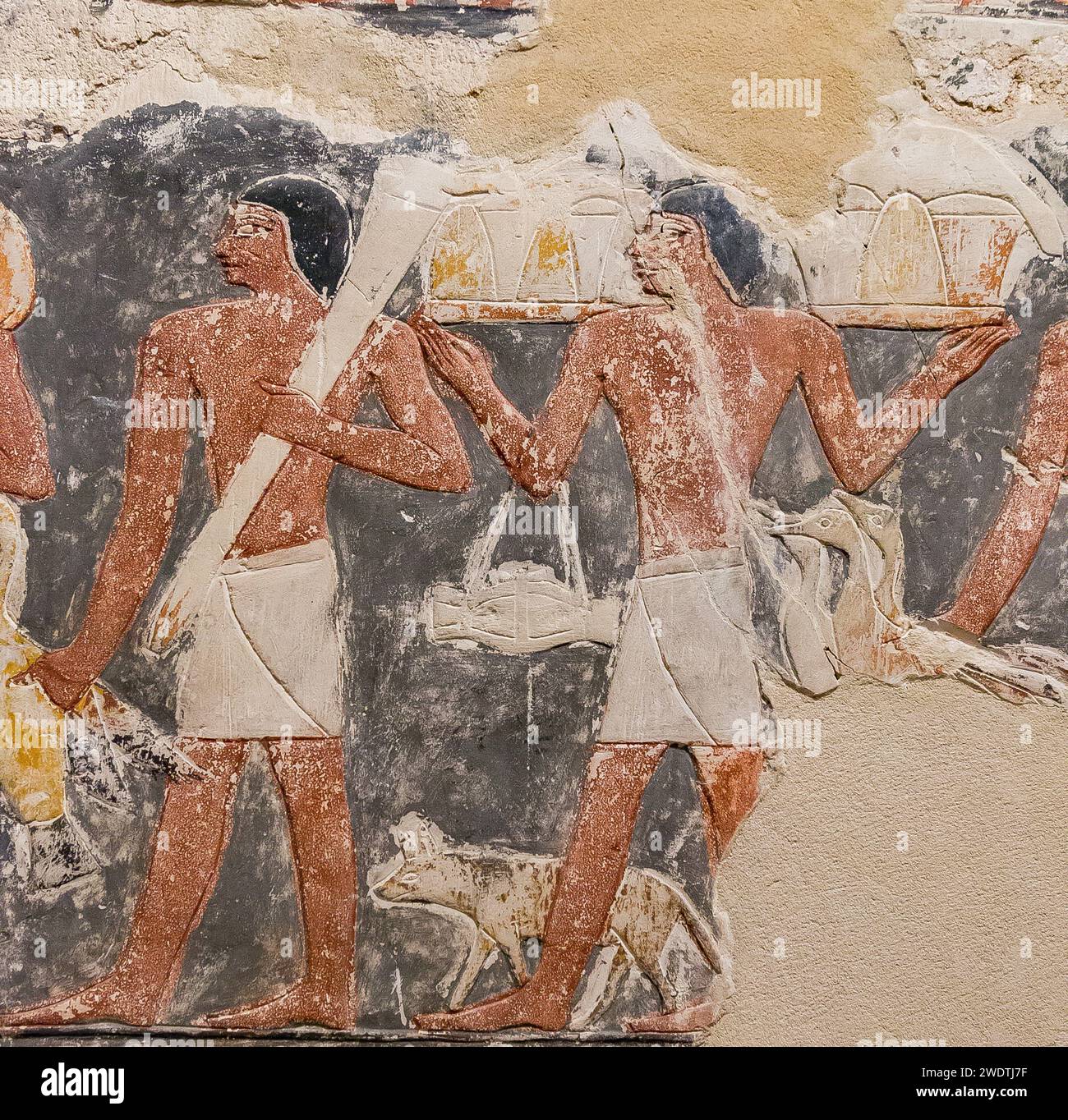 Egypt, Saqqara, tomb of Mehu, detail of offering bringers procession ...