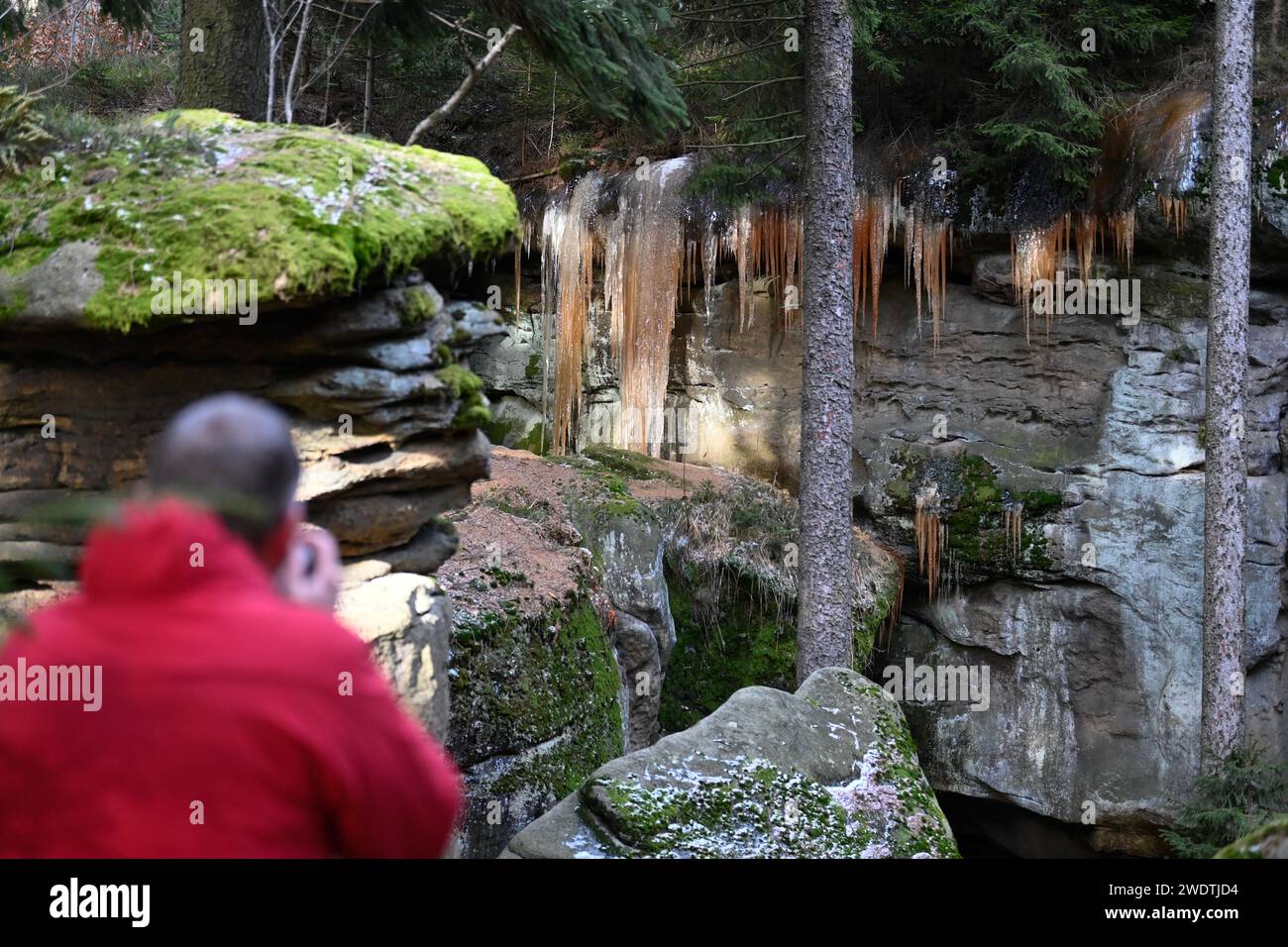 Pulcin, Czech Republic. 22nd Jan, 2024. Colourful icefalls near Pulcin ...