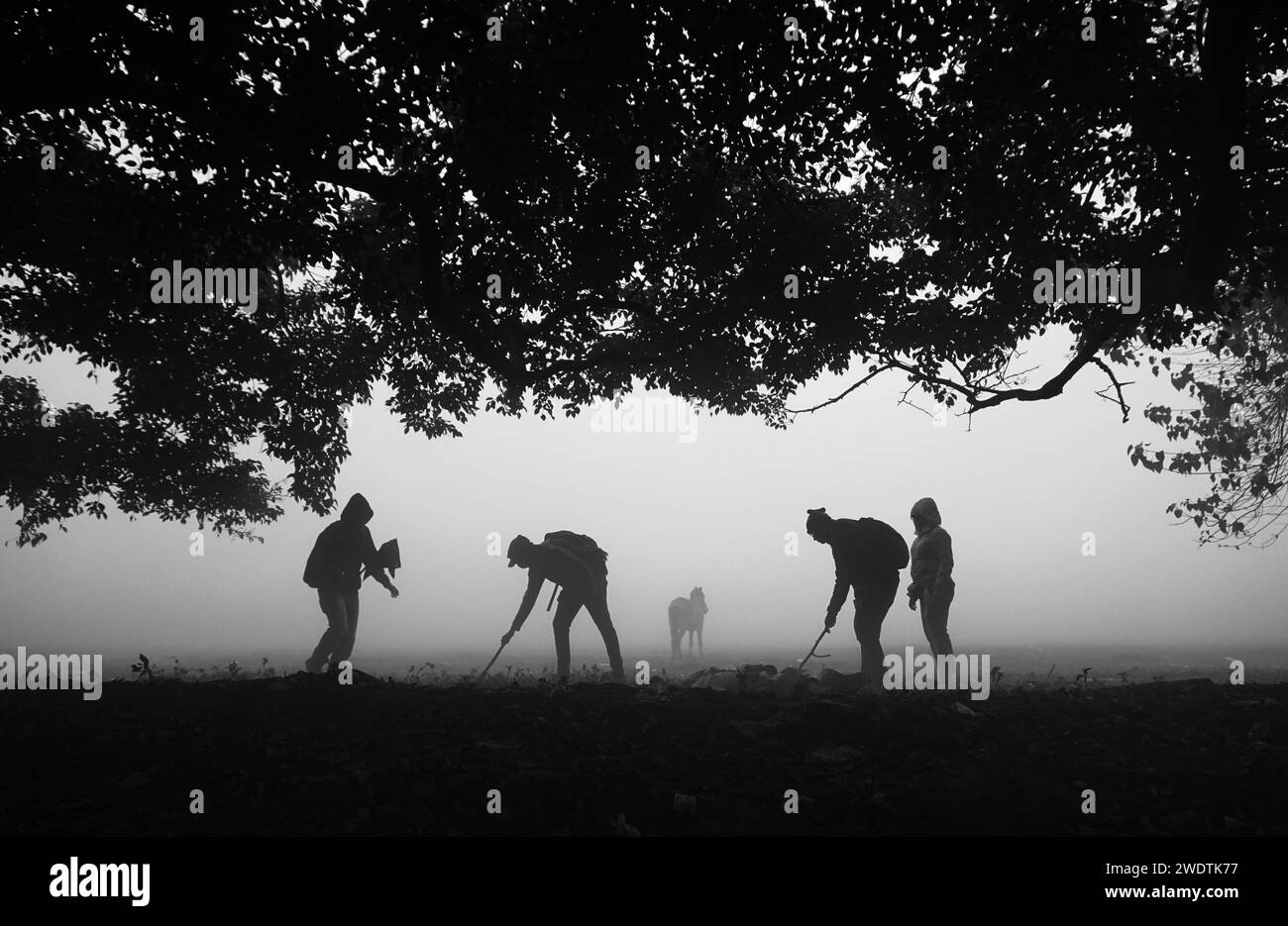 Morning work Black and White Stock Photos & Images - Alamy